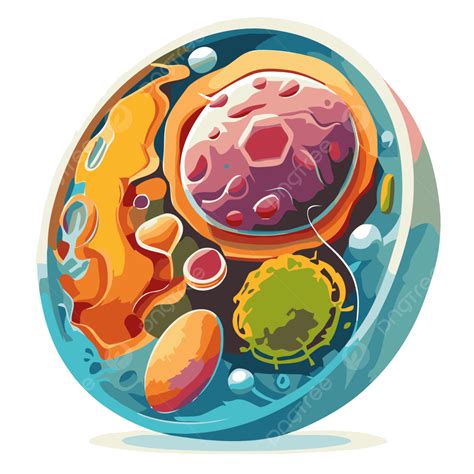 Cel Clipart Human Cell Png Svg