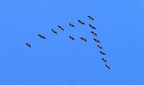 오늘 대한민국을 공포에 떨게한 제3세력  유머 움짤 이슈 에펨코리아