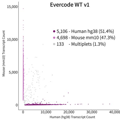 Evercode Whole Transcriptome V2 Dataset For Cell Lines