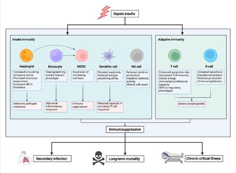 Figure 1 From Advances In Immune Monitoring Approaches For Sepsis