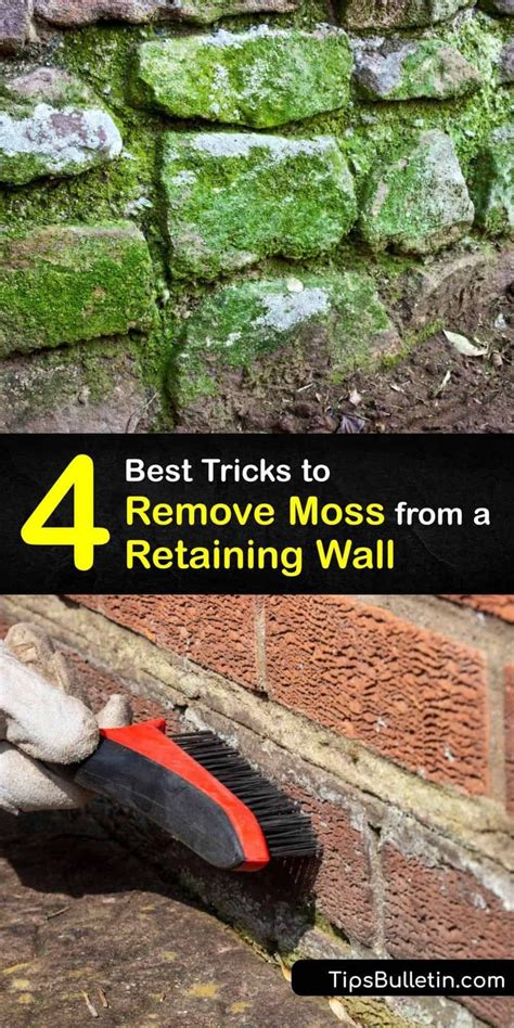 Best Tricks To Remove Moss From A Retaining Wall Retaining Wall Bricks Retaining Wall