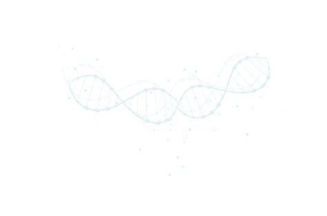 Lasobiotech Custom Snp Microarray