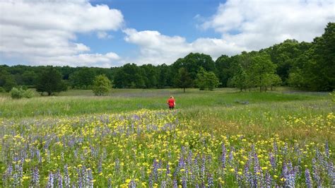 Important Bird Areas Sinnissippi Audubon