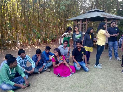 Walking Tree Office Photos Glassdoor