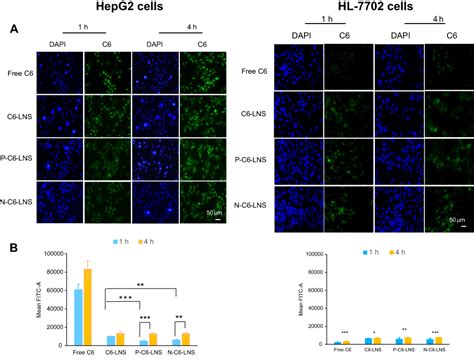 Functionalized Docetaxel Loaded Lipid Based Nanosuspensions To Enhance Ijn