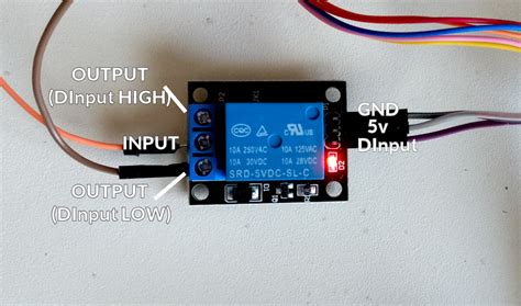 Sparkmo Songle Relay