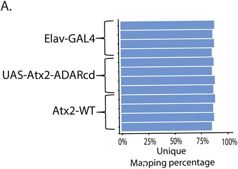 Figures And Data In Antagonistic Roles For Ataxin 2 Structured And