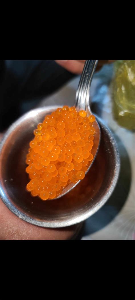 ხიზილალის მეურნეობა სამი ძმა