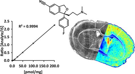 使用飞行时间和傅立叶变换离子回旋共振分析仪对药物及其在大脑中的药物靶效应进行交叉验证的基质辅助激光解吸 电离质谱成像定量方案 Analytical Chemistry X Mol