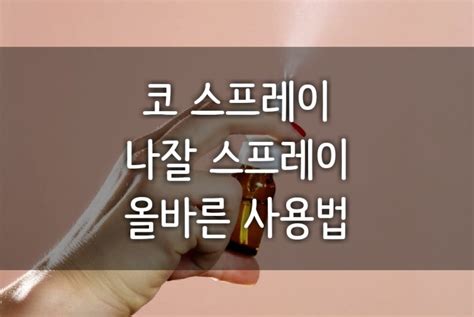 부비동염 알레르기 비염 코 스프레이 2편 네이버 블로그