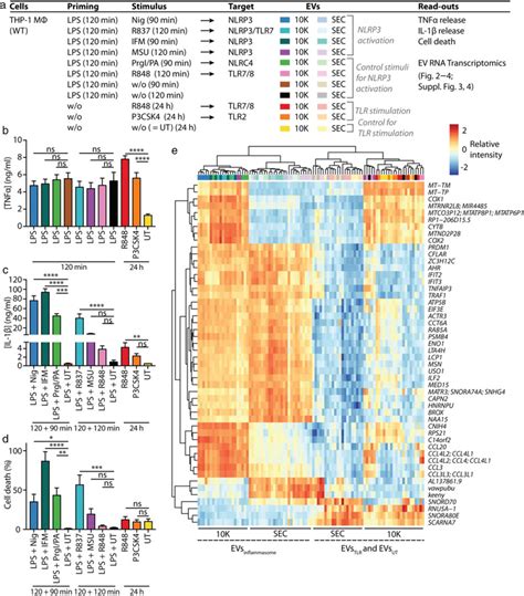 Inflammasome Induced Extracellular Vesicles Harbour Distinct Rna Signatures And Alter Bystander