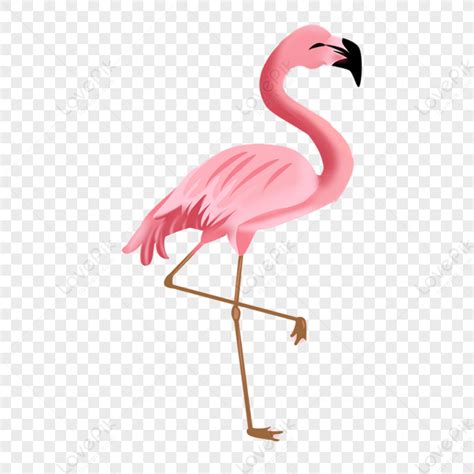 만화 일러스트 귀여운 플라밍고아름다운분홍 Png 일러스트 무료 다운로드 Lovepik