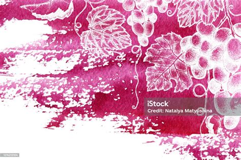 포도와 잎의 무리의 이미지와 프레임과 배경 손으로 그린 그래픽 스케치 와 점 격리 디자인 메뉴 라벨 광고 표지 엽서에 대한 빈티지 스타일 가을에 대한 스톡 벡터 아트 및