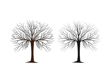 Minimalist Leafless Tree Silhouette No Leaves Tree Vector Art