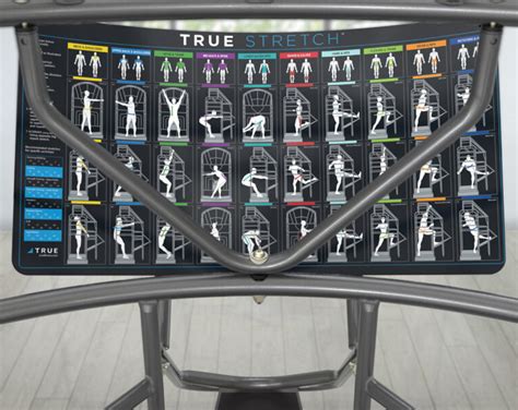 True Fitness Stretch Fitness Direct