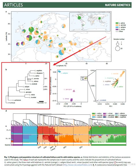 跟着nature Genetics学画图：r语言ggtree可视化展示进化树时指定根节点wx6221d9080e88d的技术博客51cto博客