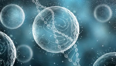 How To Employ Statistical Approaches To Identify Differentially Expressed Genes Deg