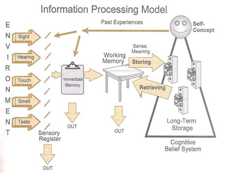 Information Processing Theory