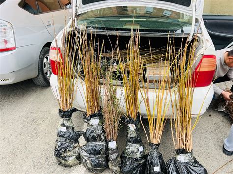 Арвайхээр Хотын Арвайхээр Хотын Захирагчийн Алба