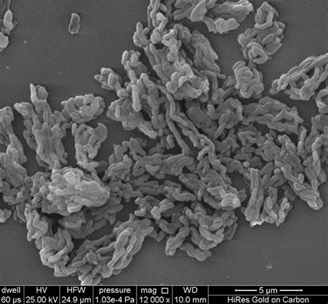 Preparation Method Of Mesoporous Silica Carbon Quantum Dot Nanocomposite Material Eureka Patsnap