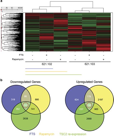 Comparative Gene Array Analysis Of 621102 And 621103 Cells Treated