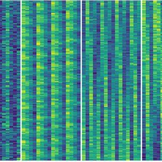 Visualization Of Original CSI Download Scientific Diagram