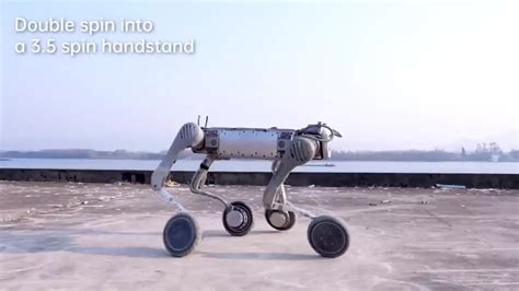 Abdul Rahim Roni On Linkedin Ai Robotics Techinnovation