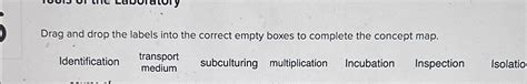 Solved Drag And Drop The Labels Into The Correct Empty Boxes