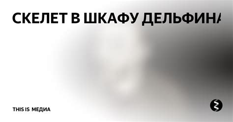 СКЕЛЕТ В ШКАФУ ДЕЛЬФИНА Thisis Media Дзен