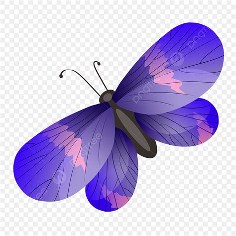 나비 일러스트 보라색 곤충 아름 다운 아름 그림 Png 일러스트 및 Psd 이미지 무료 다운로드 Pngtree