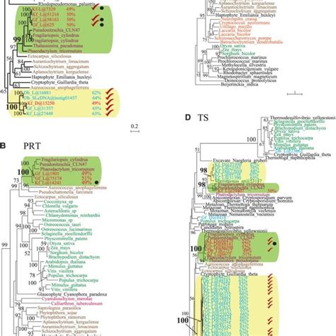 Tryptophan Biosynthetic Pathway And Gene Fusions A Tryptophan