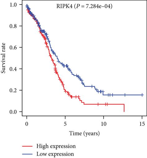 Verification Of The Efficiency Of The Prognostic Prediction Model In Download Scientific