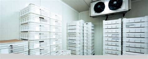 Refrigerant Leak Detection For Maximum Safety Gas Alarm