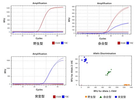 Gendiff Snp 预混型探针法 Qpcr 试剂盒 适用于aldh2 基因分型 艾科瑞生物