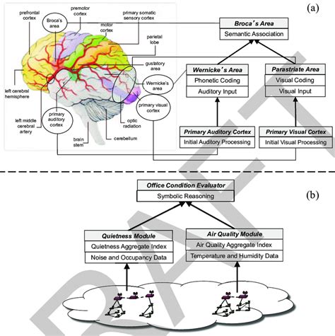 The Human Language Comprehension Model Vs The Proposed Hierarchical