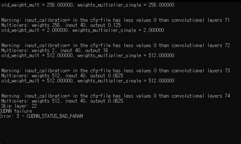 Running Quantized Option At The Filter Prunned Cfg And Weights Issue