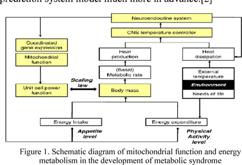 Figure 1 From Kepler Based Collaborative Workflow System For Metabolic