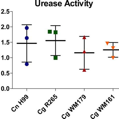Urease Activity Ex Vivo Following 2 H Of Incubation With Urea Activity Download Scientific