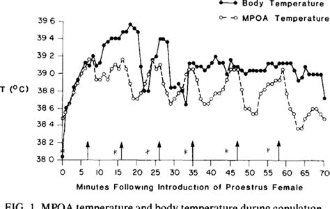 Figure 1 From Hypothalamic Temperature And Deep Body Temperature During Copulation In The Male