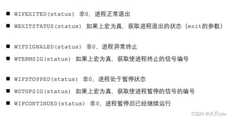 linux高并发服务器之第二章 linux多进程开发 linux 多进程并发编程 csdn博客