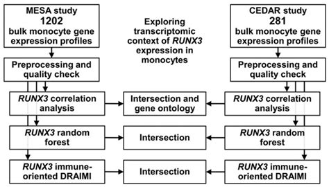 transcriptomic context of runx3 expression in monocytes a cross