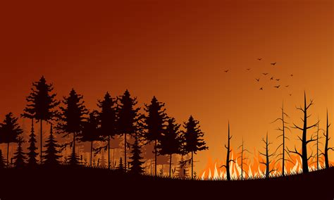 Forest Fire Flat Vector Illustration Burning Forest Spruces In Fire Flames Vector Illustration