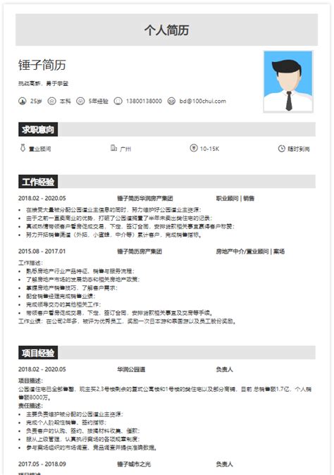 置业顾问个人简历在线简历案例 锤子简历 知乎
