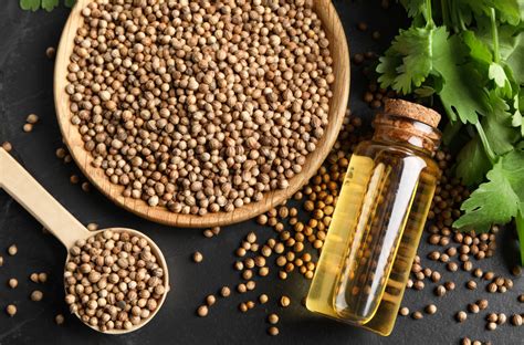 Semillas De Cilantro ¿qué Son Propiedades Y Usos En La Cocina