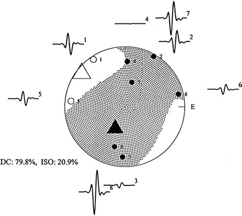22 P ­ Wave Radiation Pattern In Projection To The Lower Hemi ­ Sphere Download Scientific