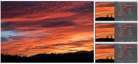 DPI Vs PPI What Is The Difference Photography Life