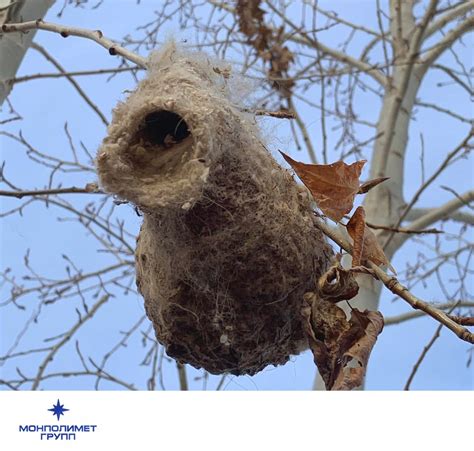ТОСОН УУРХАЙН НӨХӨН СЭРГЭЭЛТИЙН ҮР ДҮН Монполимет Групп