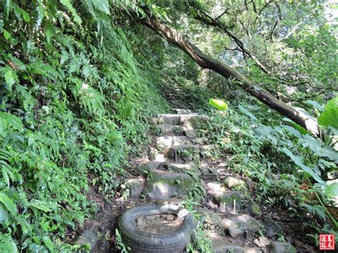 桃園大灣坪古道新溪州山石門水庫O形 健行筆記
