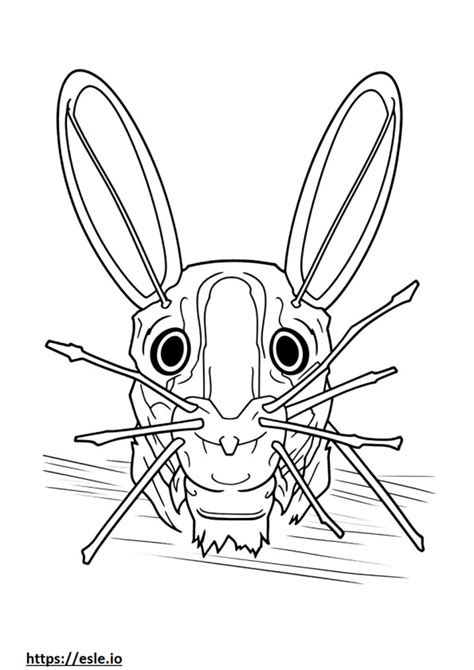 Grasshopper Mouse Coloring Pages Free Printable Grasshopper Mouse Coloring Pages Free Printable