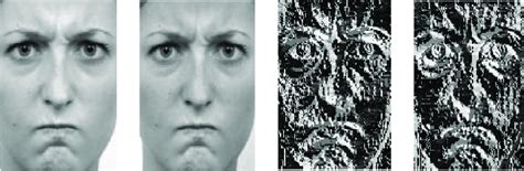 results of local contrast normalization image pre processing operation